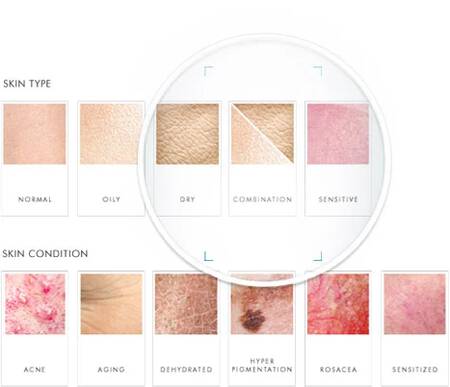 Skin Explained: Guide to Understanding Your Skin - SkinCeuticals